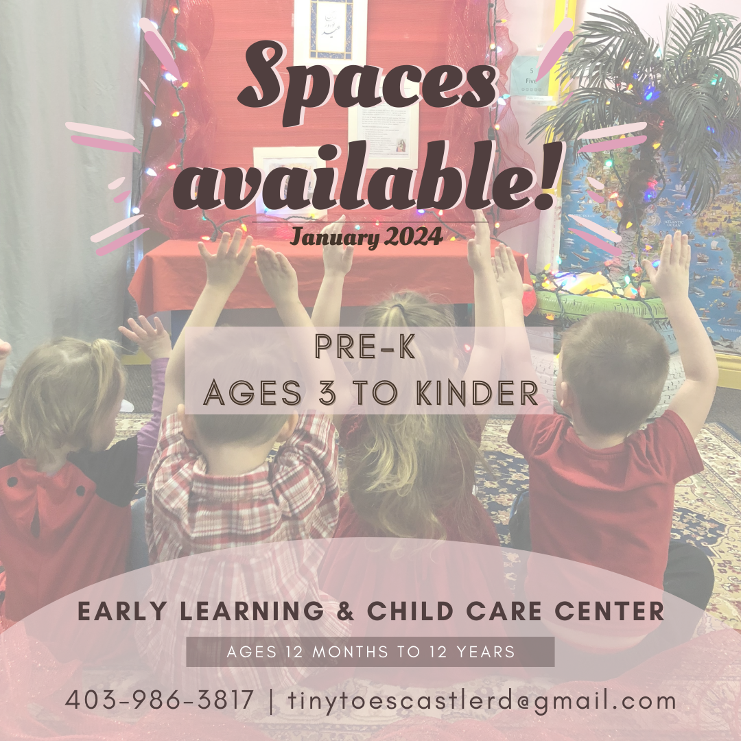 Tiny Toes Castle Ltd. | Early Learning & Care Red Deer